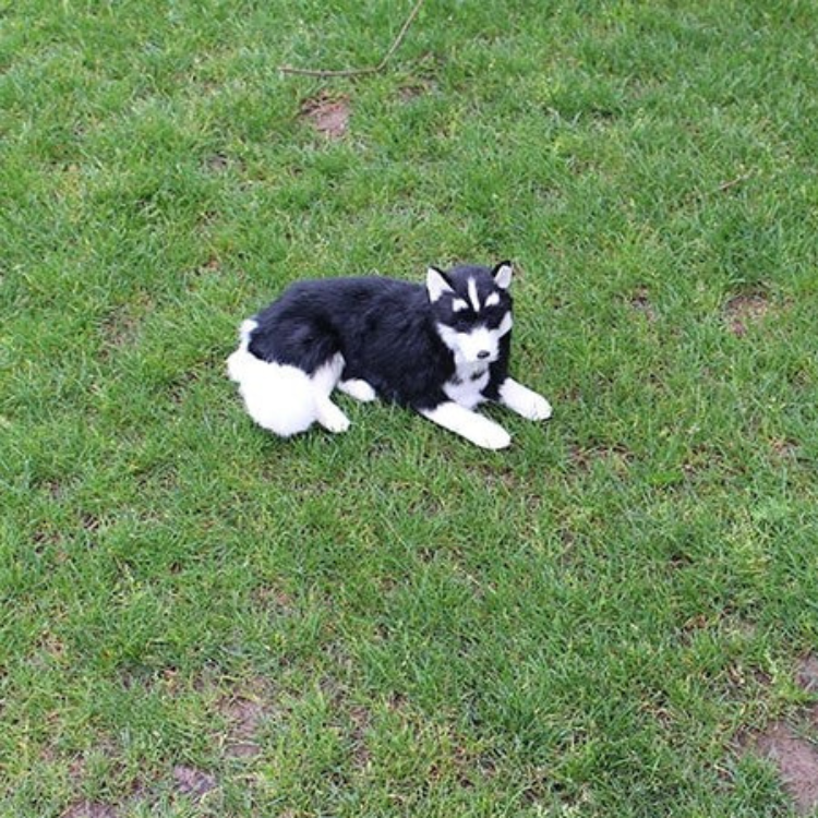 Realistic Samoyed Plush Stuffed Toy – Furvenzy